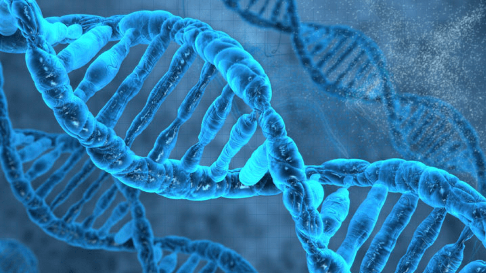 DP Sciences PD - Kognity